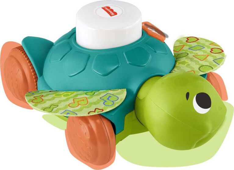 Fisher-Price Linkimals Sit-to-Crawl Sea Turtle - English Edition ...