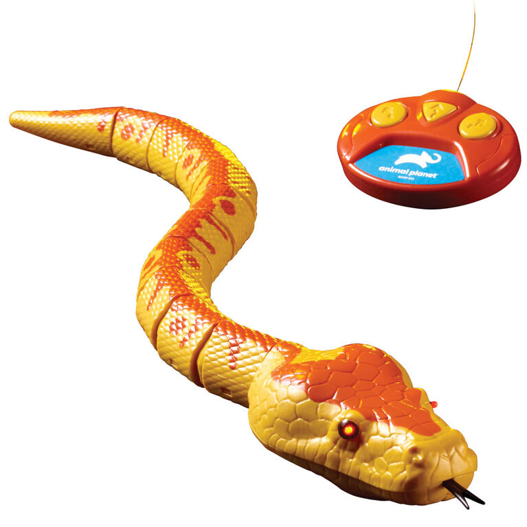 Animal Planet - Radio Control Ball Python - R Exclusive | Toys R Us Canada